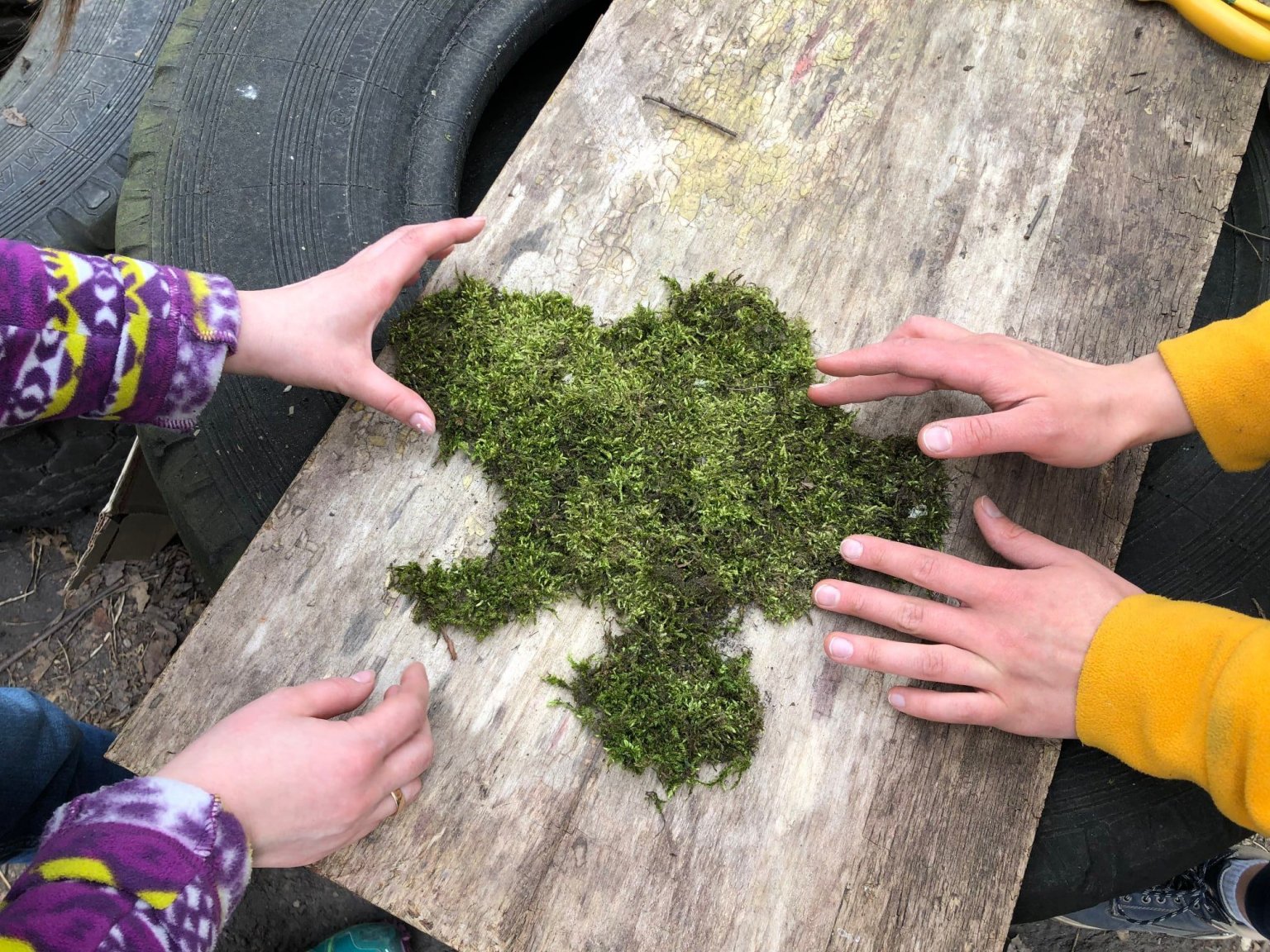 The Green Recovery Platform for green recovery will be created in ...