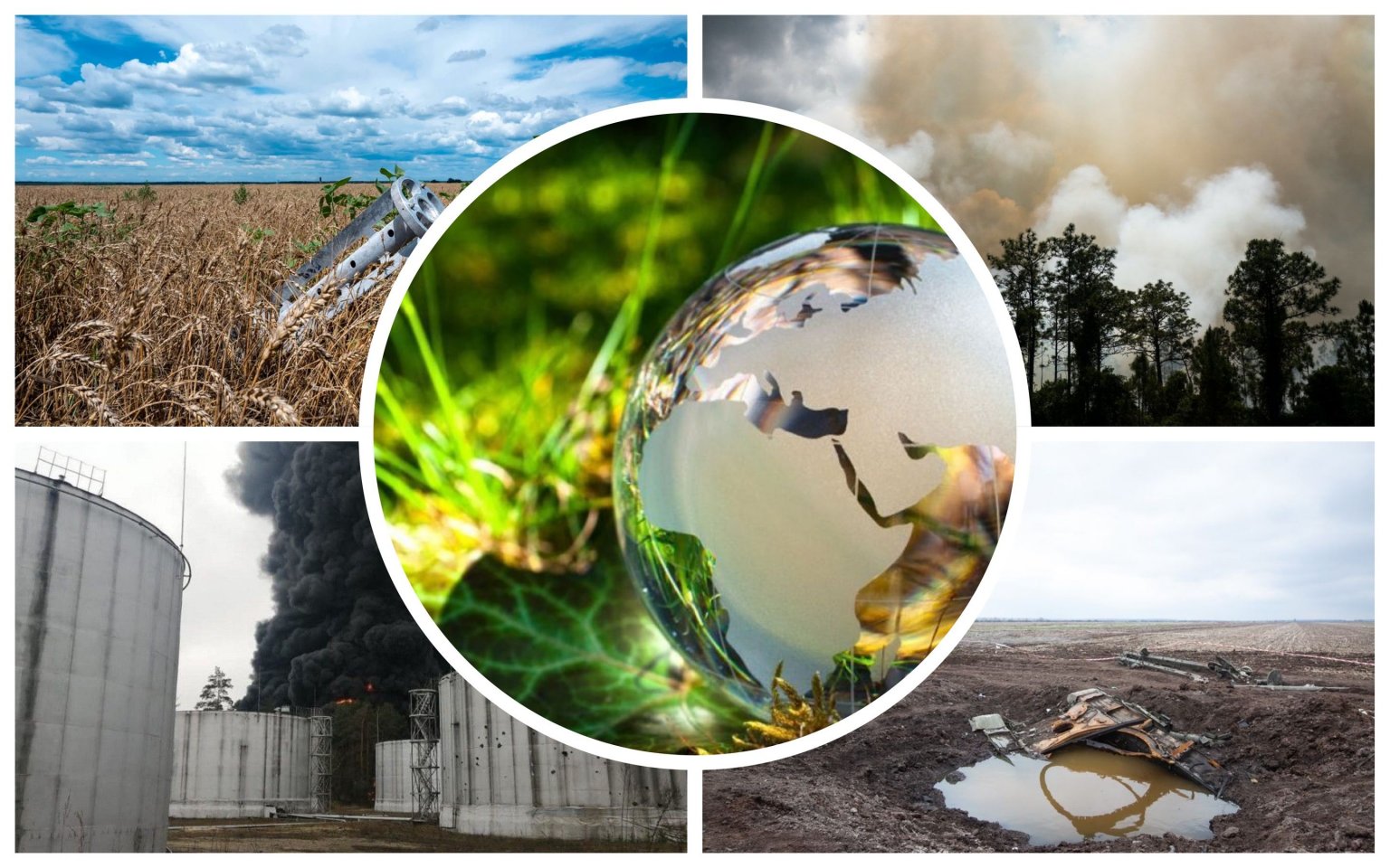 On November 6, the day of prevention of the exploitation of nature ...