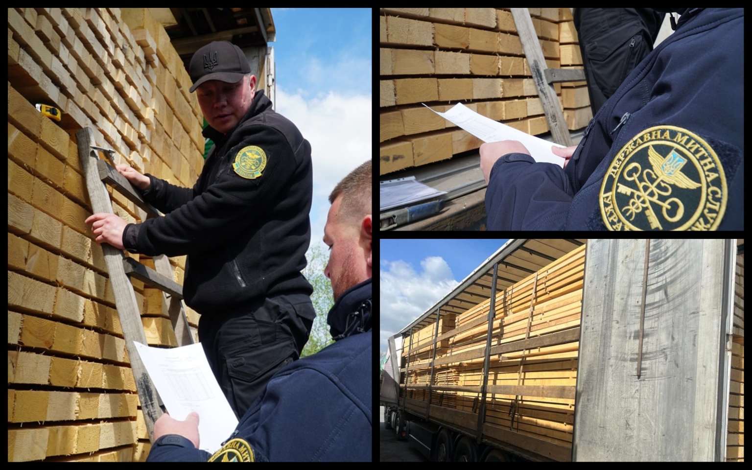 In Transcarpathia, customs officials discovered timber smuggling ...