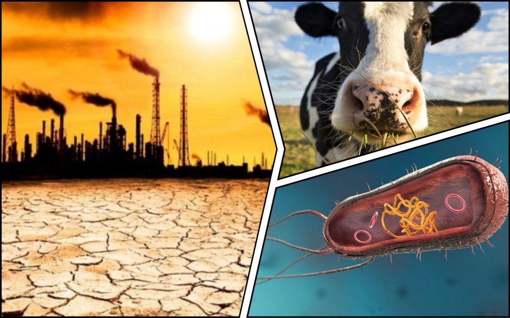Scientists have discovered bacteria that can remove methane to reduce ...