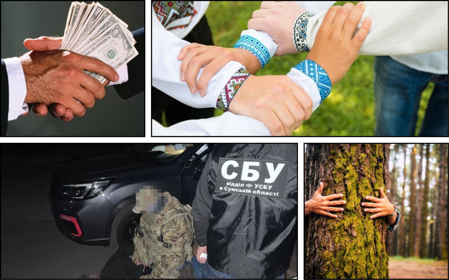 TOP-5 corruption scandals of 2023 in the field of ecology - ecology ...