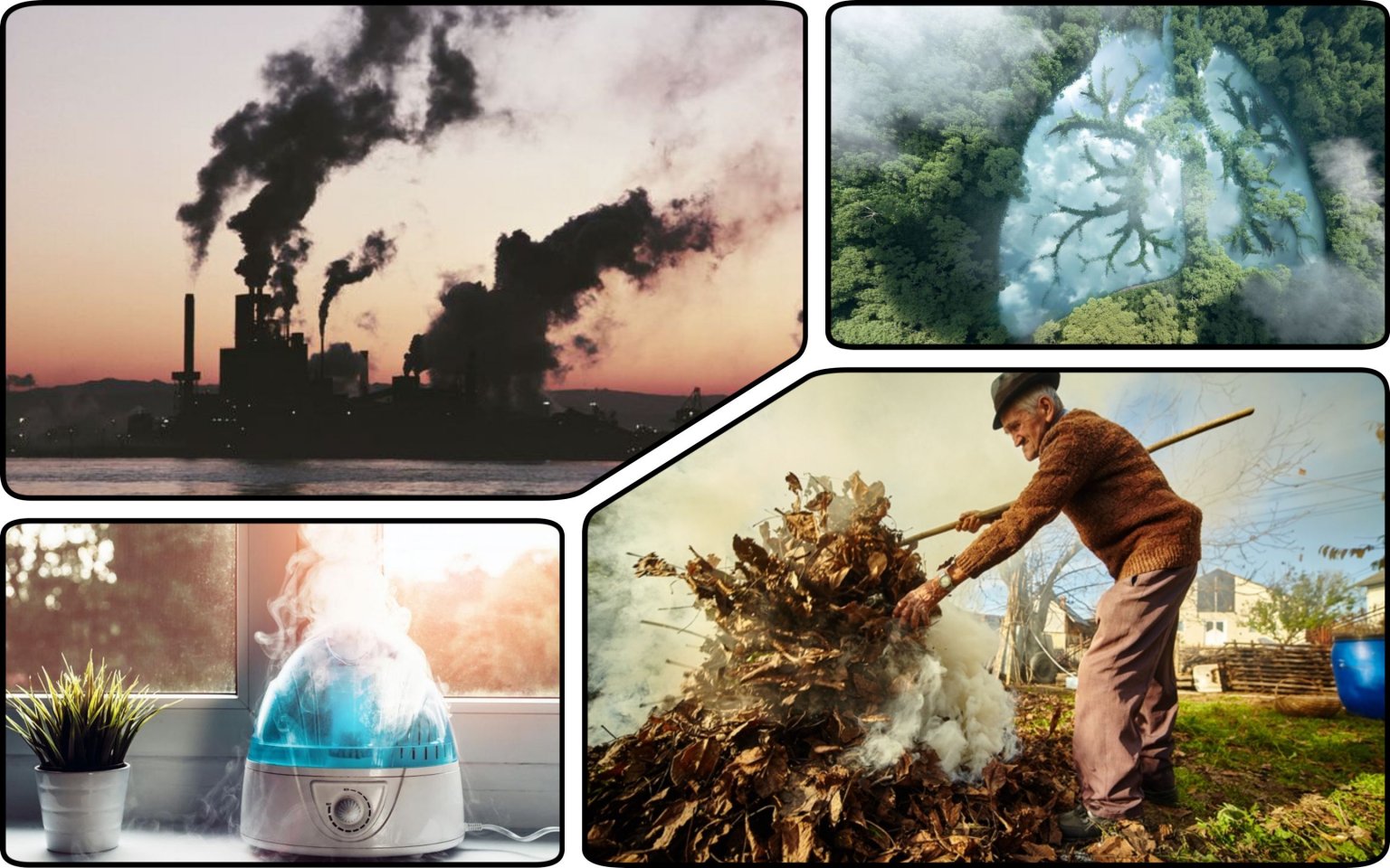 How PM2.5 dust affects people's health and how to protect yourself from ...