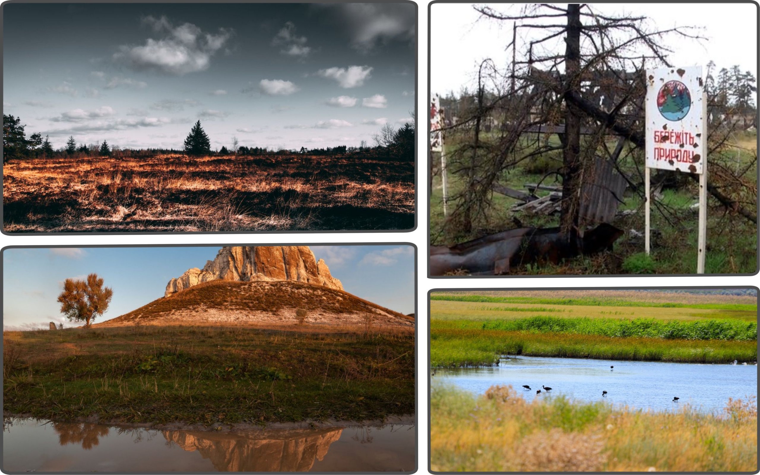 Ecology news: due to the war in Ukraine, ecosystems of chalk mountains ...