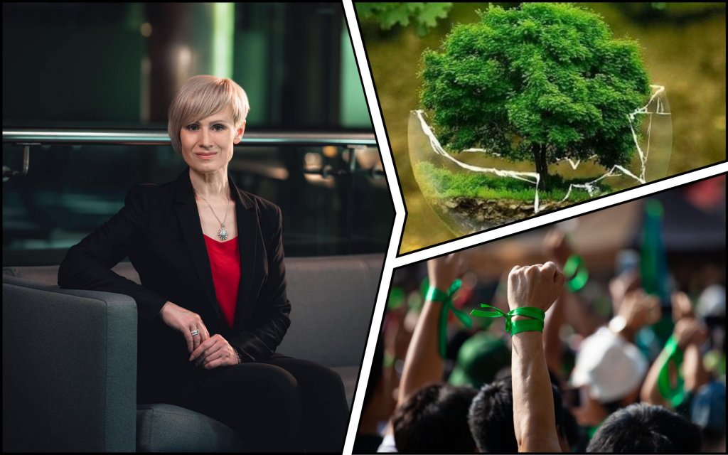 Details of the controversy over the awarding of Gypsies the honor of ...