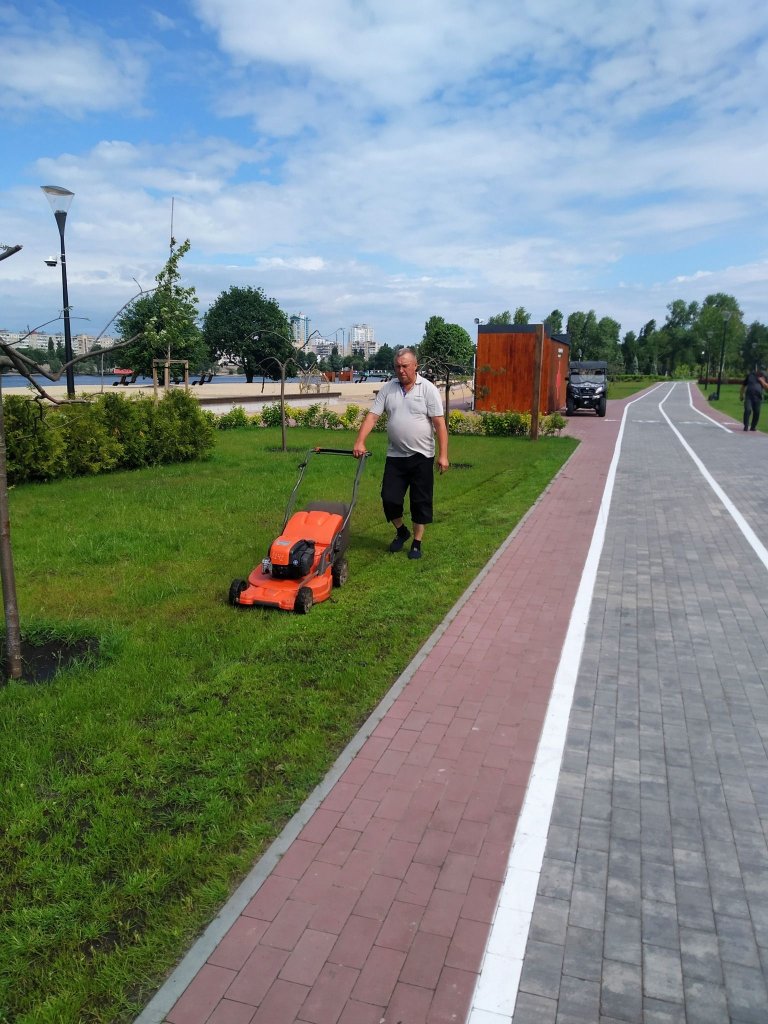 Red Book plants destroyed on Obolon Island in Kyiv | EcoPolitic
