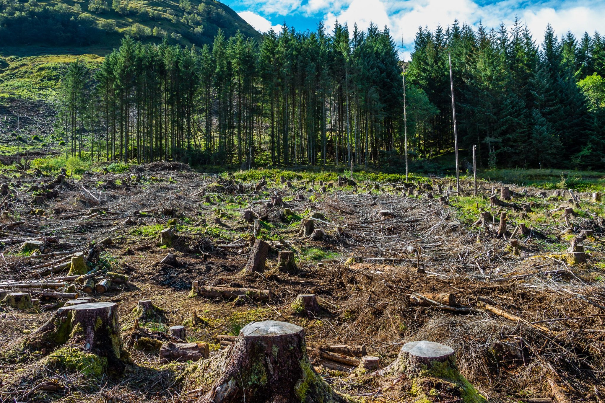 What are Ukraine's main environmental problems? | EcoPolitic