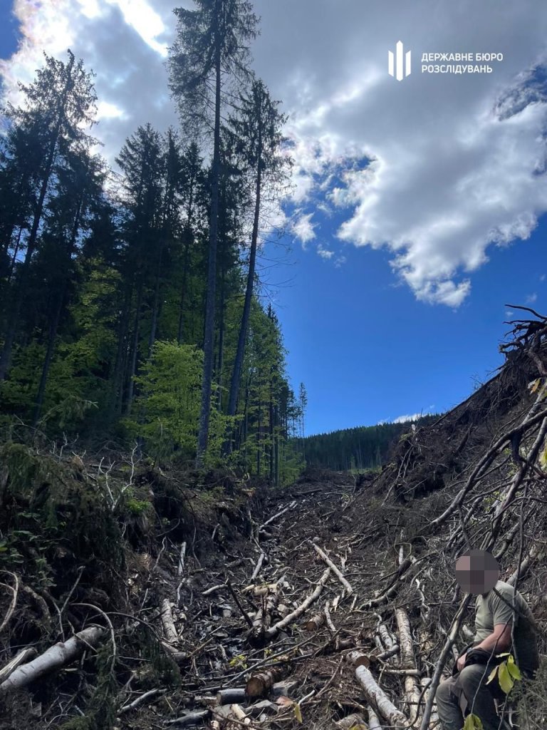 Digest of the most resonant environmental violations for May 24-30 ...