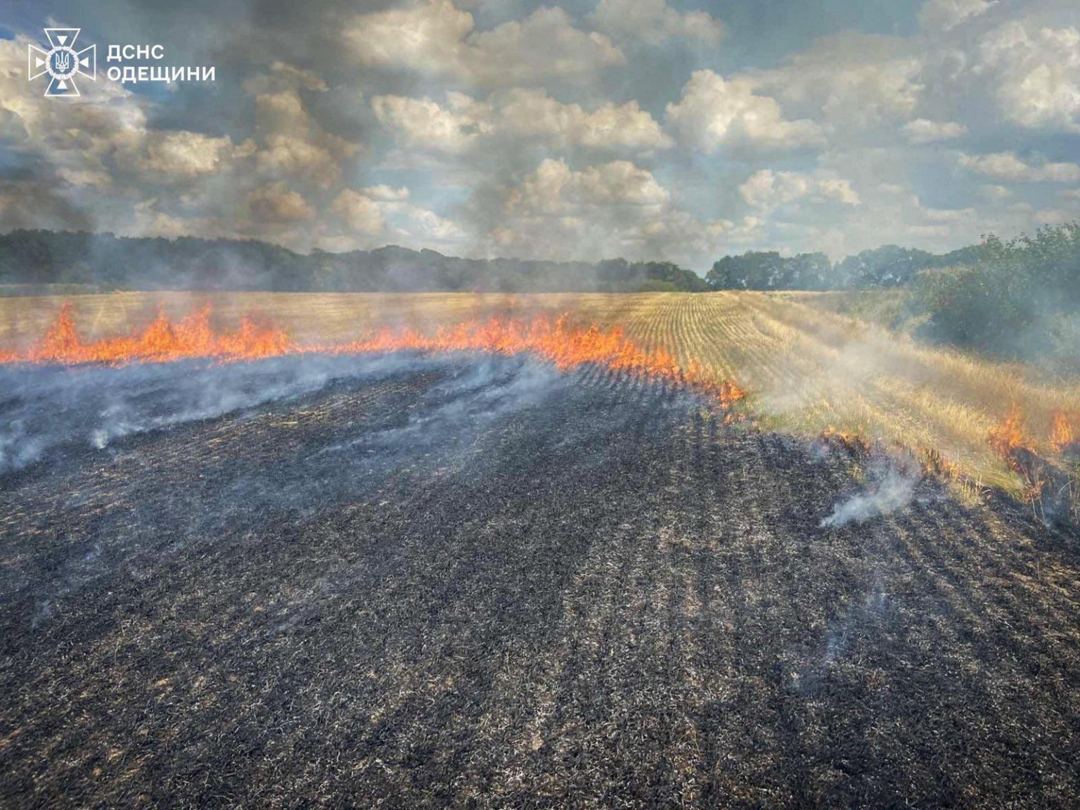 Top Ukrainian environmental disasters and crimes in 2025 | EcoPolitic