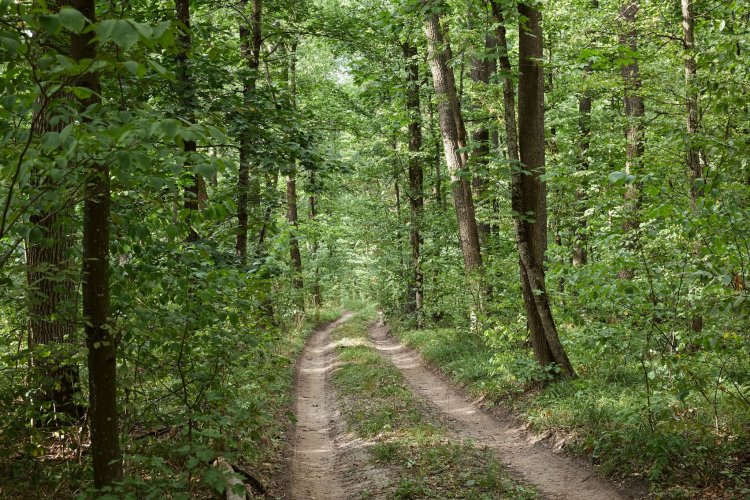 The first national park in Kirovohrad region: what will the protected ...