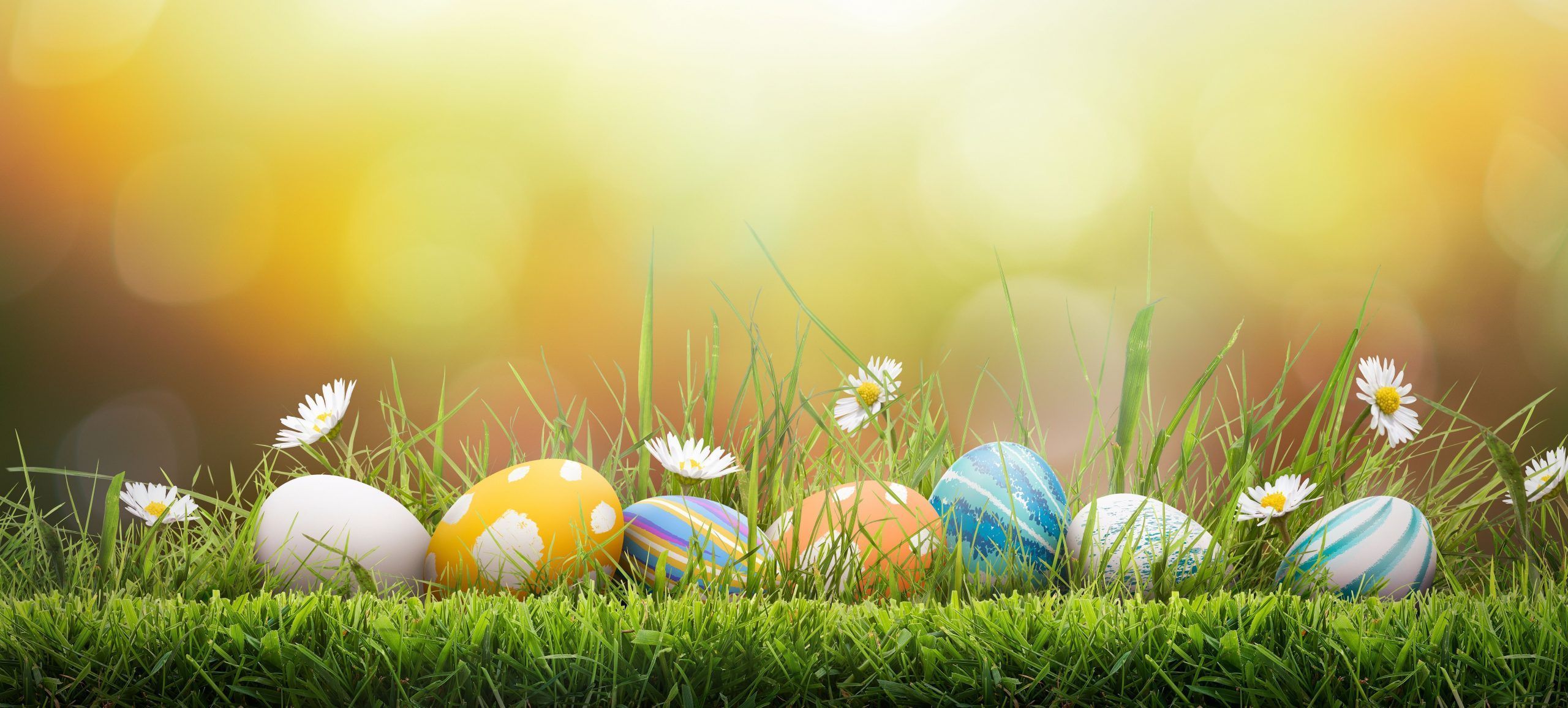 How to celebrate Easter without harming the environment: simple tips ...